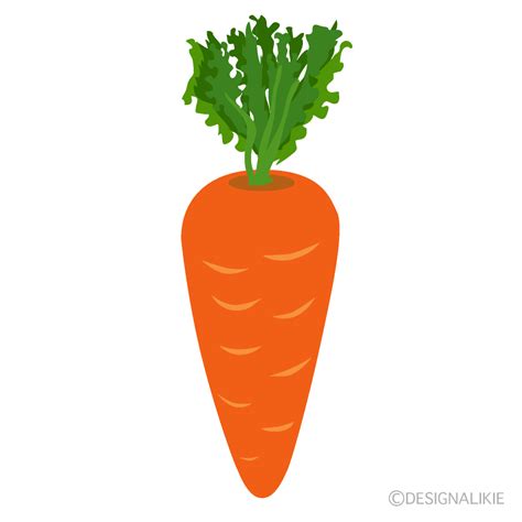 一本のニンジンイラストのフリー素材｜イラストイメージ