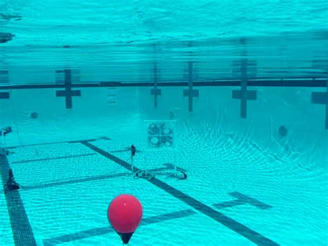 Buoy Woollett Object Detection Dataset By Inspiration Workspace