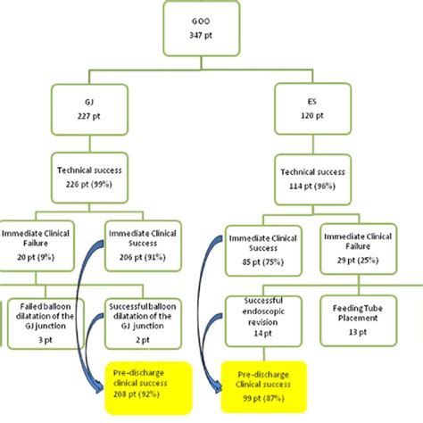 Flowchart Detailing Procedures And Outcomes Download Scientific Diagram