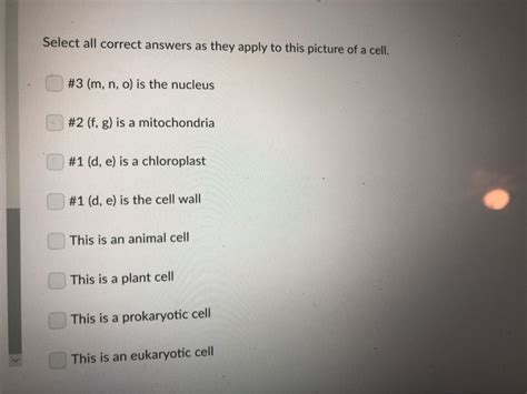 Select All Correct Answers As They Apply To This