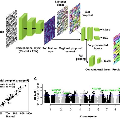 Developing And Integrating Deep Learning Based Download Scientific Diagram