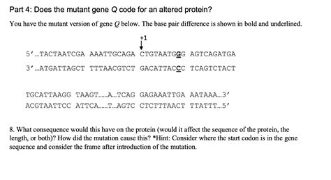 Solved Part 4 Does The Mutant Gene Q Code For An Altered Chegg Com