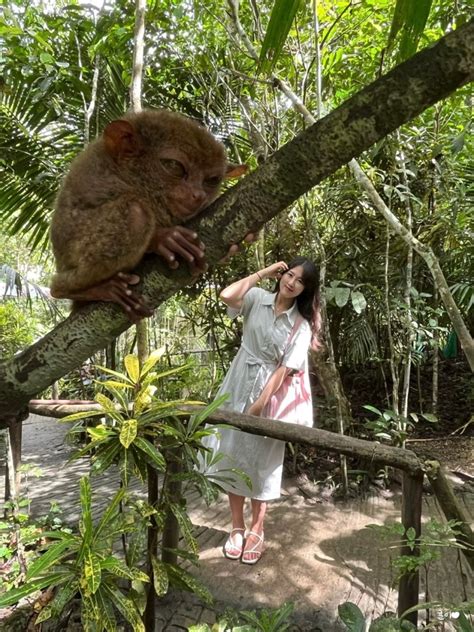 필리핀 보홀 여행 타르시어 안경원숭이 데이투어 솔직후기 네이버 블로그