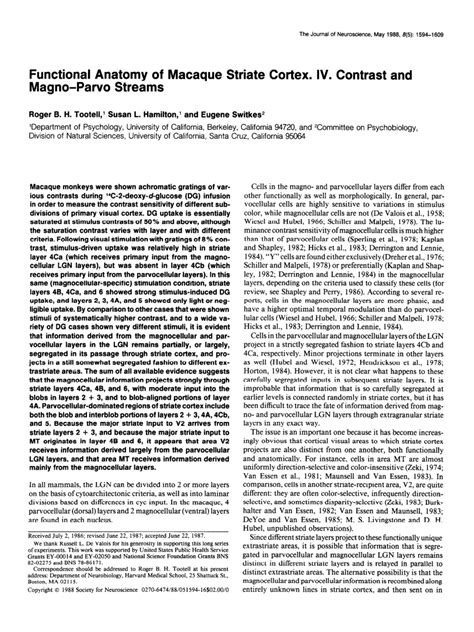 Pdf Functional Anatomy Of Macaque Striate Cortex Iv Contrast And Magno Parvo Streams