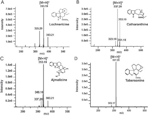 MS Spectra Of The Identified Indole Alkaloids By HPLC DAD ESI TOF MS Download Scientific Diagram