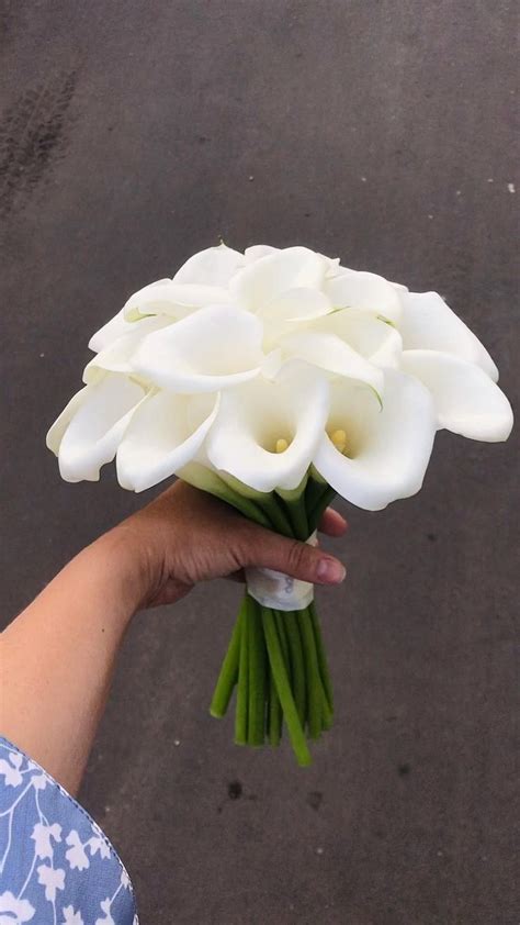 Свадебный букет из калл Букет из калл Свадебный букет из орхидей Свадебный цветок