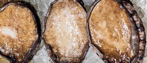 Australian Shellfishes 7 Shellfish Types In Australia Tasteatlas