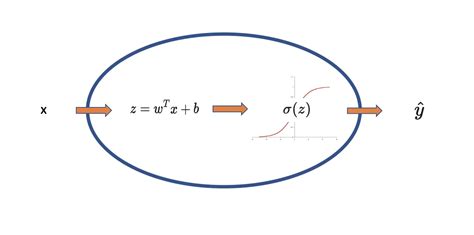 How Do Neural Networks Learn Programmathically