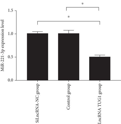 A Targeting Relationship Between Lncrna Tug1 And Mir 221 3p B Tug1