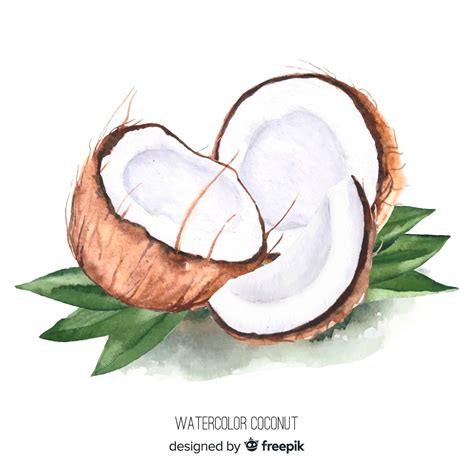 수채화 코코넛 그림 무료 벡터