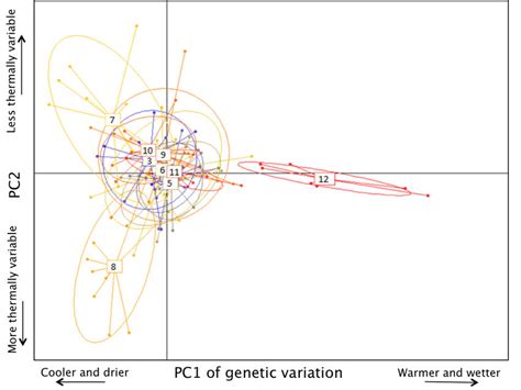 Principal Components From DAPC Analysis Depicting Clustering Of Download Scientific Diagram