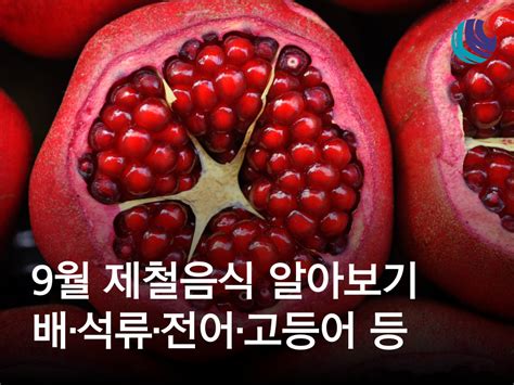 9월 제철 음식 알아보기 제철 과일 채소 생선 농식품정보