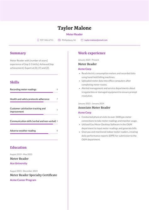 10 Meter Reader Resume Examples That Work