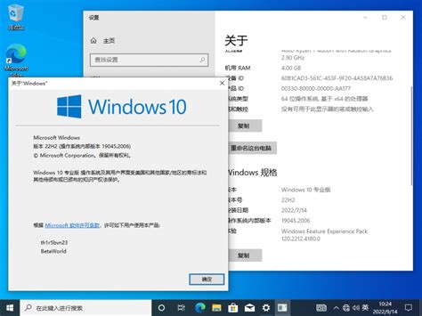 Windows 10 10 0 19045 2006 Vb Release Svc Prod1 220906 1139 Betaworld 百科