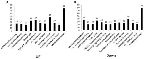 Microrna Expression Profiling In Exosomes Derived From Gastric Cancer