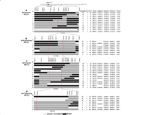 Sequential Fine Mapping Of The Major Qtl Qgwc11 A Fine Mapping Was Download Scientific