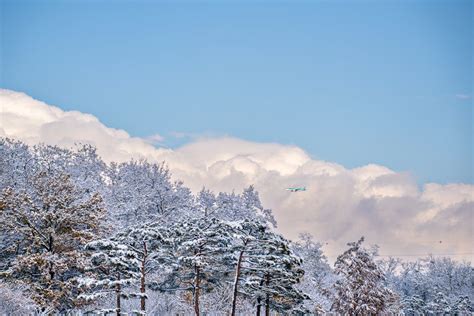 겨울 하늘의 비행기와 눈 덮인 서울 숲 · 무료 스톡 사진