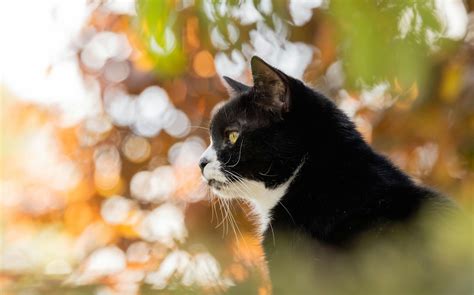 Cute Profile Pictures Photos Download The Best Free Cute Profile