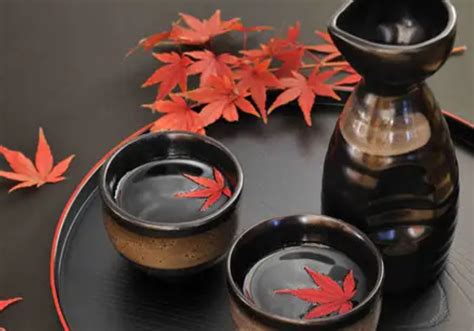 日本清酒 进口清关攻略丨进口所需资料及操作流程详细介绍 哔哩哔哩