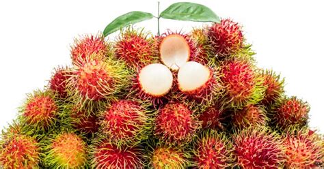 ញ៉ាំសាវម៉ៅក្នុងពេលមានគក៌ ប៉ះពាល់សុខភាពម្ដាយនិងគក៌ទេ មាតា