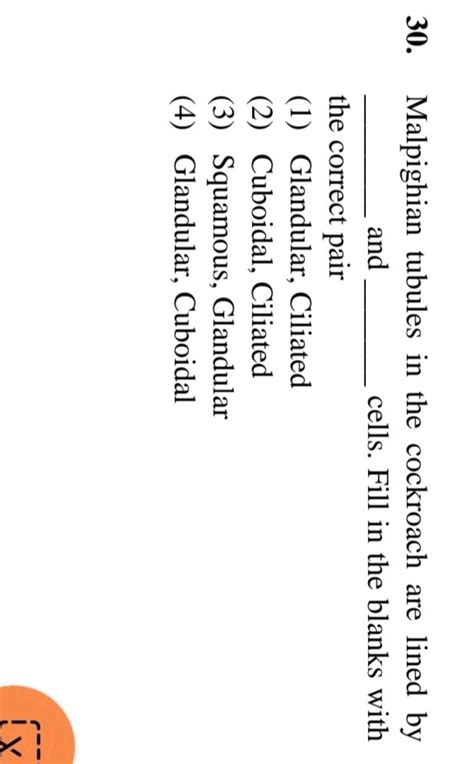 Malpighian Tubules In The Cockroach Are Lined By And Cells Fill In The B