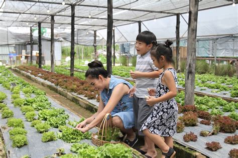 สวนผัก โอ้กะจู๋ วันแม่ปีนี้ ทางร้านสวนผักโอ้กะจู๋