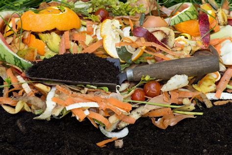 5 Smart Ways To Use Biodegradable Waste To Help The Environment