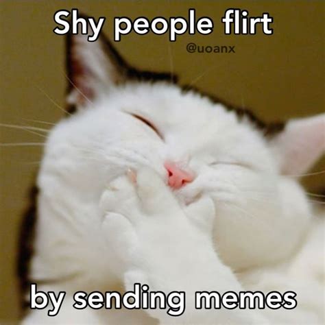 Pin On Cute Girl Face Shy People Funny Illustration Funny Memes