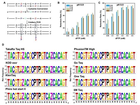 Sequencing Double Stranded 6 Letter Dna And Assessing The Fidelity Of Download Scientific