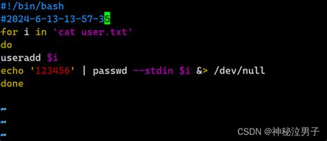 Shell编程学习路线 ——for循环应用技巧 语法和案例shell For循环实战 Csdn博客