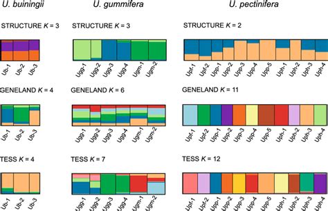 Population Genetic Clustering In U Buiningii U Gummifera And U Download Scientific Diagram
