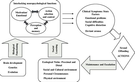 Unifi Ed Theory Of Sexual Offending Source Ward Beech Download Scientific Diagram