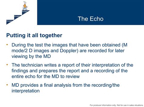 Echo Basic And Left Ventricular Hypertrophy Ppt