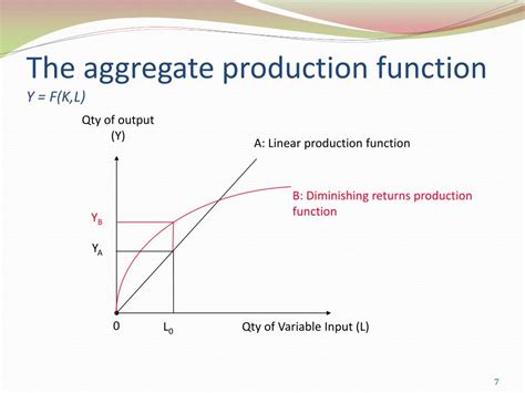 What Is Basic Production Function At Christine Cogdill Blog
