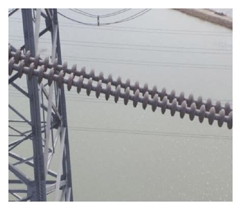 Images Before And After Scaling Download Scientific Diagram