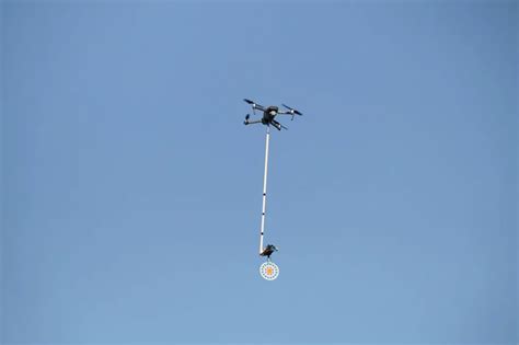 The First Drone Installation Of Bird Diverters In Bulgaria Pelican Way Of Life