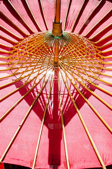 日本红雨伞