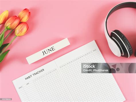 6월의 나무 달력 분홍색 배경에 헤드폰과 튤립이 있는 습관 추적기 책의 평평한 누워 0명에 대한 스톡 사진 및 기타 이미지 0명 1월 6월 Istock