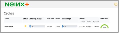 NGINX Logs Guide Monitor And Troubleshoot In Minutes XPLG