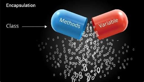 Python Encapsulation Oop Dataprotection Learningjourney Github Programming Chetan Pawar