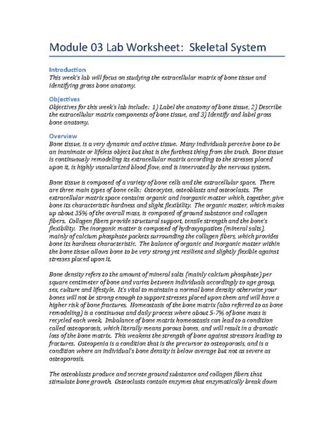 BSC2346L Module 03 Lab Worksheet Module 03 Lab Worksheet Skeletal