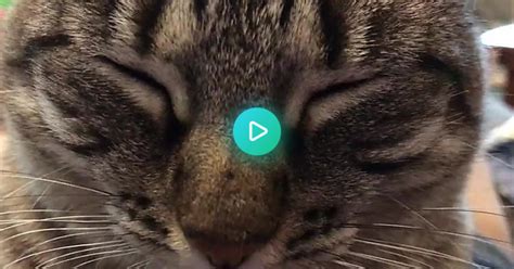 Pause And Listen Album On Imgur