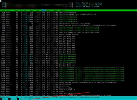 htop linux interactive system monitor zomro