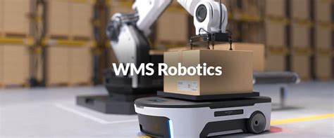 Wms Robotics Companies Options And What To Look For Logiwa Wms