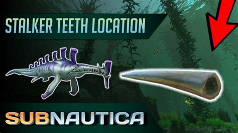 How To Get Stalker Teeth In Subnautica Updated Youtube