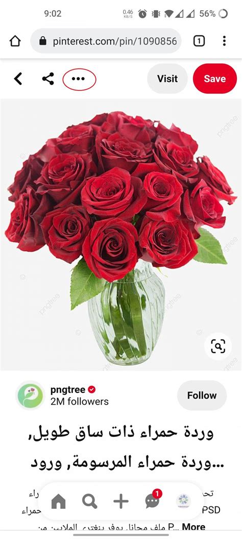 تحميل الصور من بنترست بكل سهولة