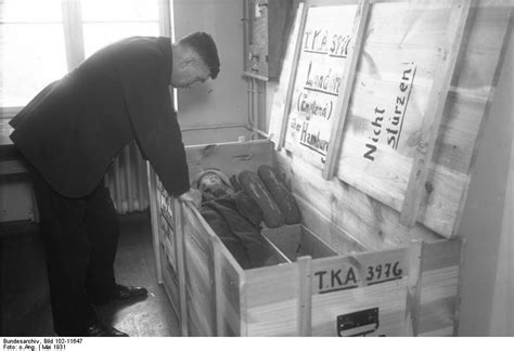 Blinder Passagier Hurraki Wörterbuch Für Leichte Sprache