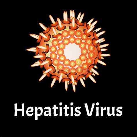 Hiv Virus Structure Viral Infection Hiv Aids Sexually Transmitted Diseases Infographics