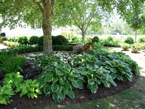 Pin On Outdoor Spaces