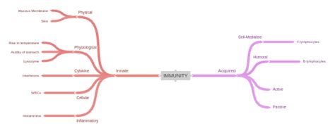 Immunity Coggle Diagram Immunity Coggle Diagram